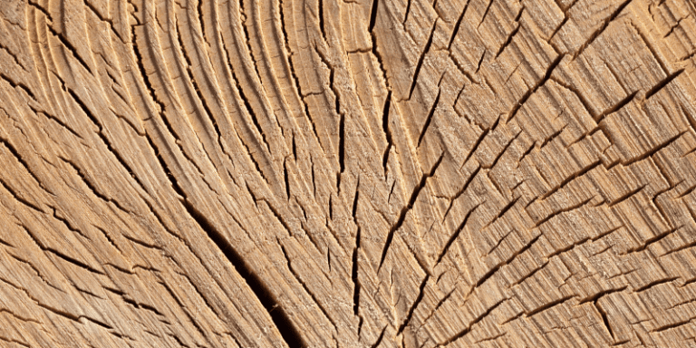 How to Avoid Cracking in Drying Wood Slabs