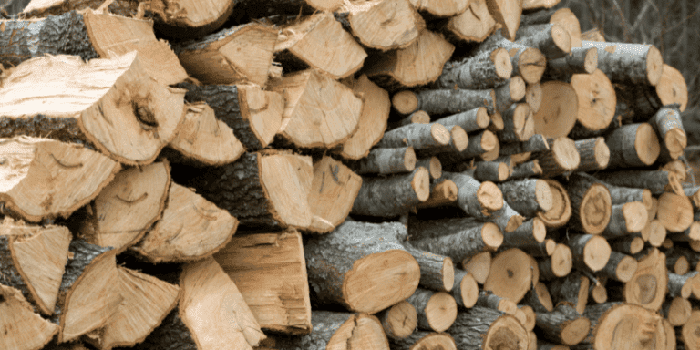 What is a Cord of Wood? Discover the Power of Firewood Measurements