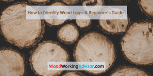 How to Identify Wood Logs: A Beginner's Guide