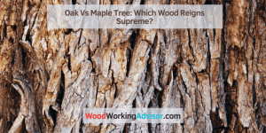 Oak Vs Maple Tree: Which Wood Reigns Supreme?