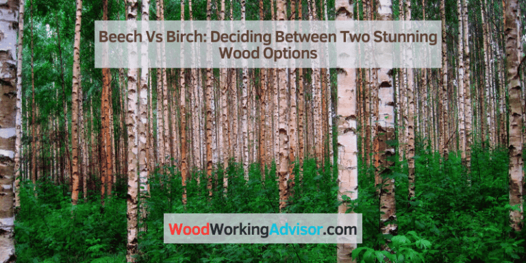 Beech Vs Birch: Deciding Between Two Stunning Wood Options