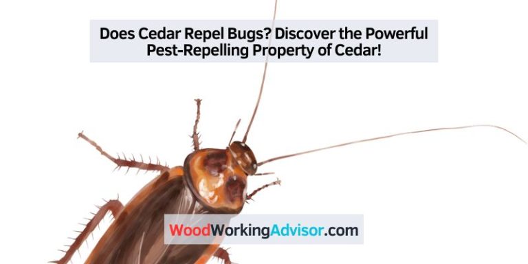 Does Cedar Repel Bugs? Discover the Powerful Pest-Repelling Property of Cedar!
