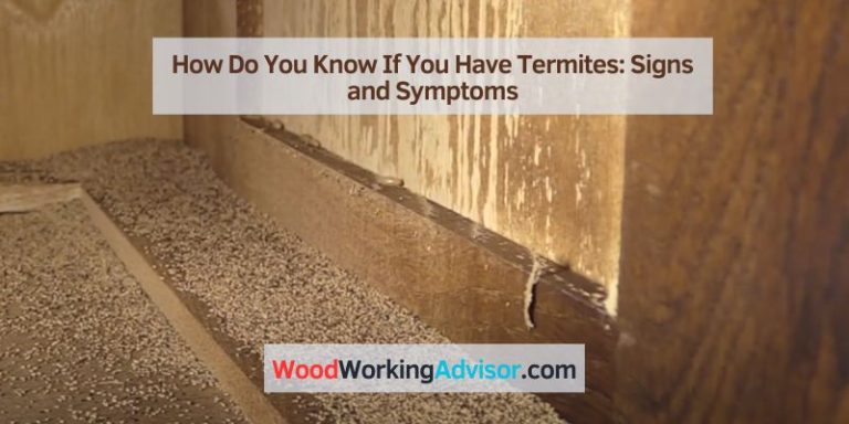 How Do You Know If You Have Termites: Signs and Symptoms