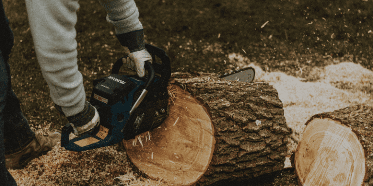 How to Cut Wood Without a Saw: Swift & Simple Techniques