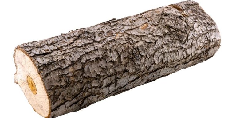 How to Preserve Wood Logs: Expert Tips and Techniques