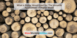 What is Poplar Wood Used for: The Versatile Applications of Poplar Wood