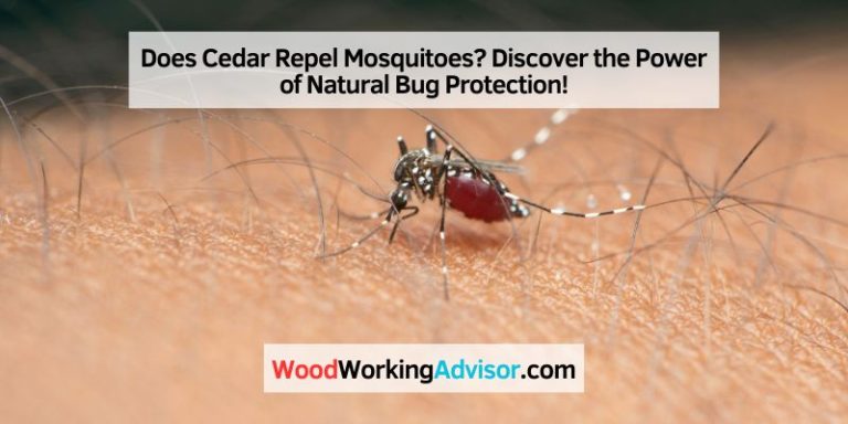 Does Cedar Repel Mosquitoes? Discover the Power of Natural Bug Protection!