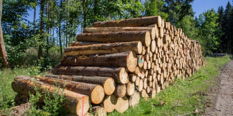 How Long for Wood to Dry: A Complete Guide to Efficient Drying Techniques