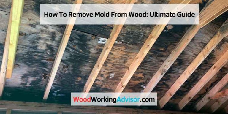 How To Remove Mold From Wood: Ultimate Guide