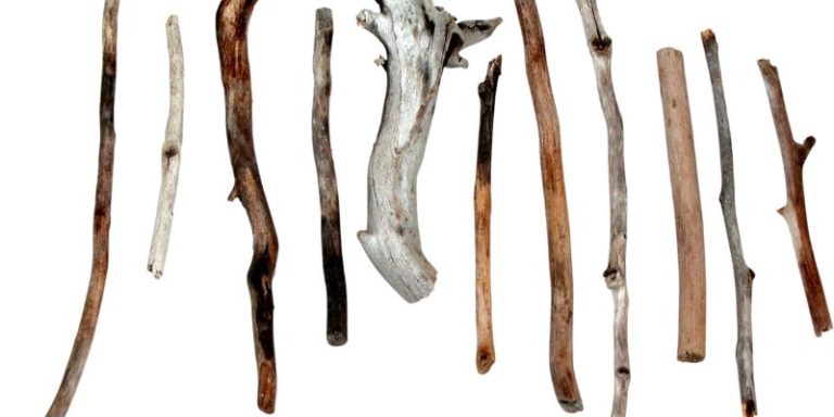 How to Create Your Own Walking Stick from a Tree Branch: Ultimate Guide