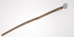 How to Create Your Own Walking Stick from a Tree Branch: Ultimate Guide