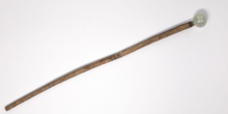 How to Create Your Own Walking Stick from a Tree Branch: Ultimate Guide