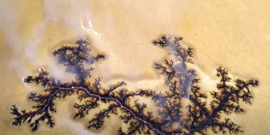 Master the Art of Crafting Lichtenberg Figures on Wood: Easy Techniques ...