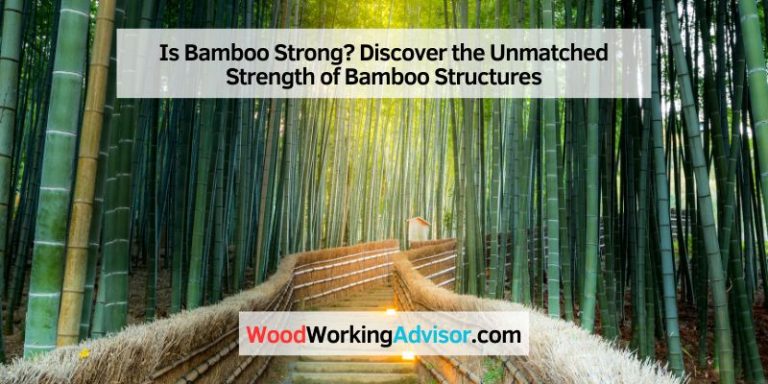 Is Bamboo Strong? Discover the Unmatched Strength of Bamboo Structures