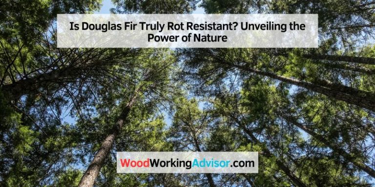 Is Douglas Fir Truly Rot Resistant? Unveiling the Power of Nature