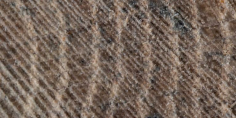 What is Quarter Sawn Oak: Unveiling the Secrets of this Unique Hardwood