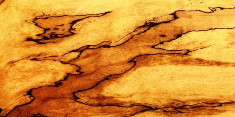 What is Spalting in Wood: The Mesmerizing Transformation of Timber