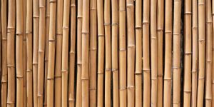 How Strong Is Bamboo: Unleashing Its Power