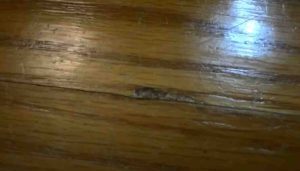 How to Remove Dents from Wood: Quick and Easy Fixes