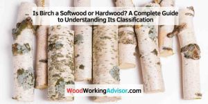 Is Birch a Softwood or Hardwood? A Complete Guide to Understanding Its ...