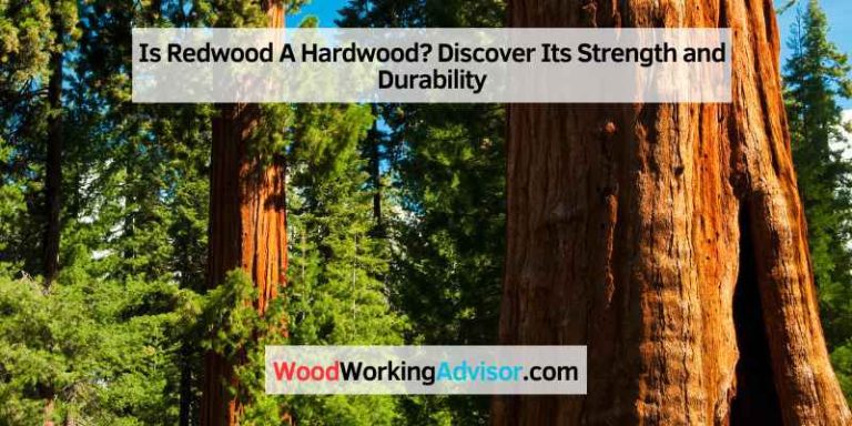 Is Redwood A Hardwood? Discover Its Strength and Durability