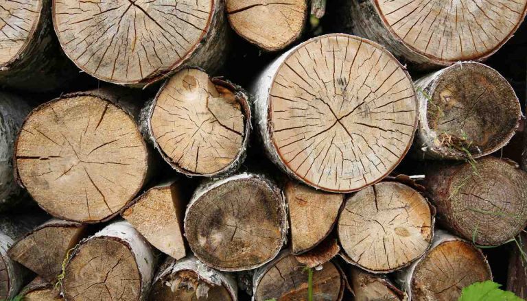 Is Wood a Recyclable Material: Unlocking Its Eco-Friendly Potential