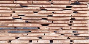 What is Beech Wood? Discover if Beech is a Hardwood!