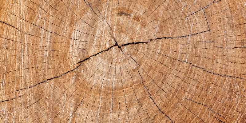 How to Stop Wood Cracks from Spreading: Expert Tips