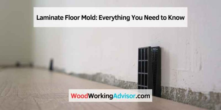 Laminate Floor Mold: Everything You Need to Know