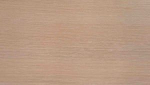 Light Coloured Wood: Unveiling the Secrets of Its Elegance