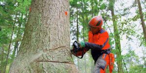 Notch Cutting 101: Step-by-Step Guide