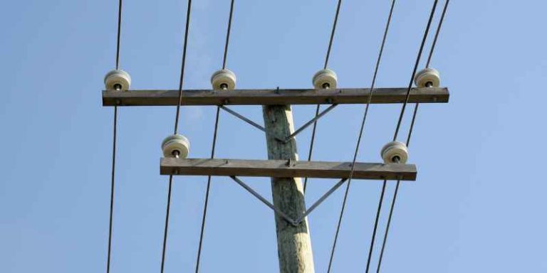 Can You Burn Telephone Pole Wood?: Expert Guide