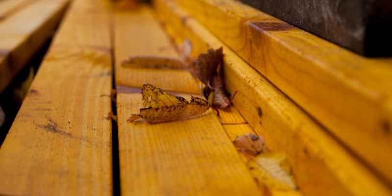 Does Pressure Treated Wood Warp: Prevent Warping Techniques