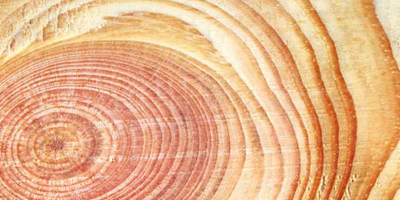 How to Raise the Grain on Wood: Quick & Easy Techniques