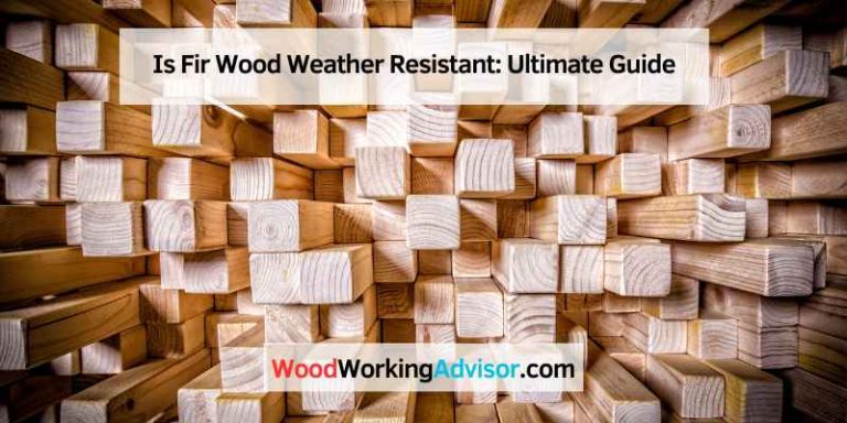 Is Fir Wood Weather Resistant: Ultimate Guide