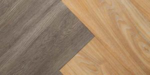 What Color is Poplar Wood? Unveiling the Vibrant Spectrum of Rainbow Poplar