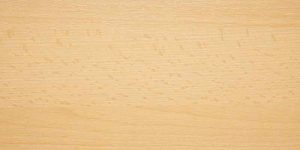 What Colour is Beech Wood? The Ultimate Guide to Beech Wood Colors