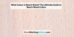 What Colour is Beech Wood? The Ultimate Guide to Beech Wood Colors