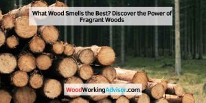 What Wood Smells the Best? Discover the Power of Fragrant Woods