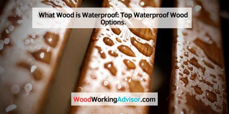 What Wood is Waterproof: Top Waterproof Wood Options.