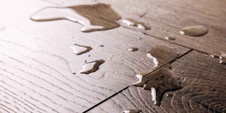 What Wood is Waterproof: Top Waterproof Wood Options.
