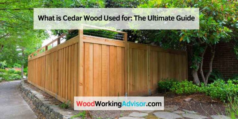 What is Cedar Wood Used for: The Ultimate Guide