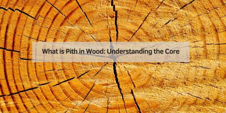 What is Pith in Wood: Understanding the Core