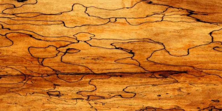 What is Spalted Maple Wood? Discover the Beauty and Durability