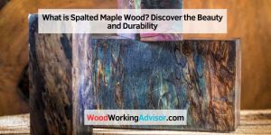 What is Spalted Maple Wood? Discover the Beauty and Durability