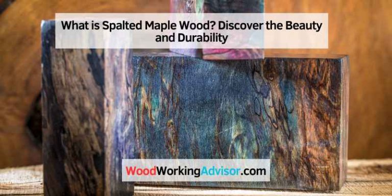 What is Spalted Maple Wood? Discover the Beauty and Durability