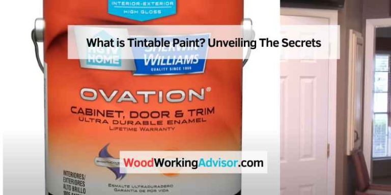 What is Tintable Paint? Unveiling The Secrets