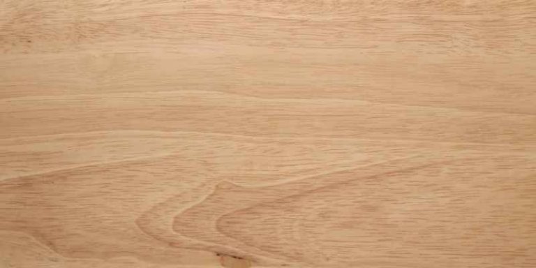 What is the Whitest Wood? Discover the Pale Beauty of Holly