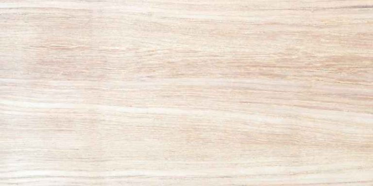 What is the Whitest Wood? Discover the Pale Beauty of Holly