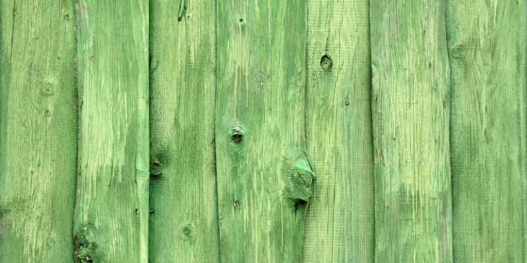 Why Does Wood Turn Green? Explained and Debunked